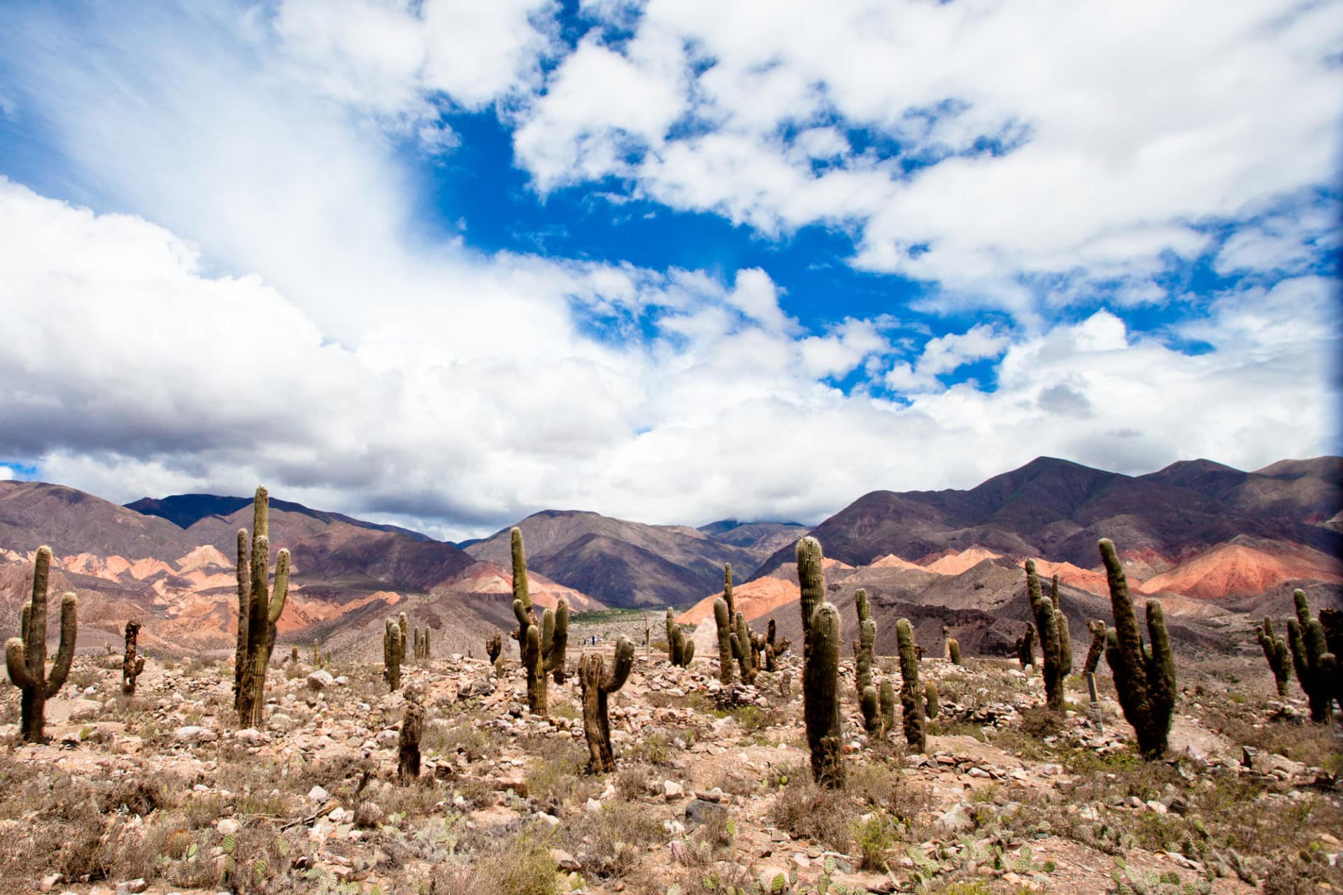 Hiking from Tilcara to San Francisco, Jujuy. 6-day trip. AAGM leader