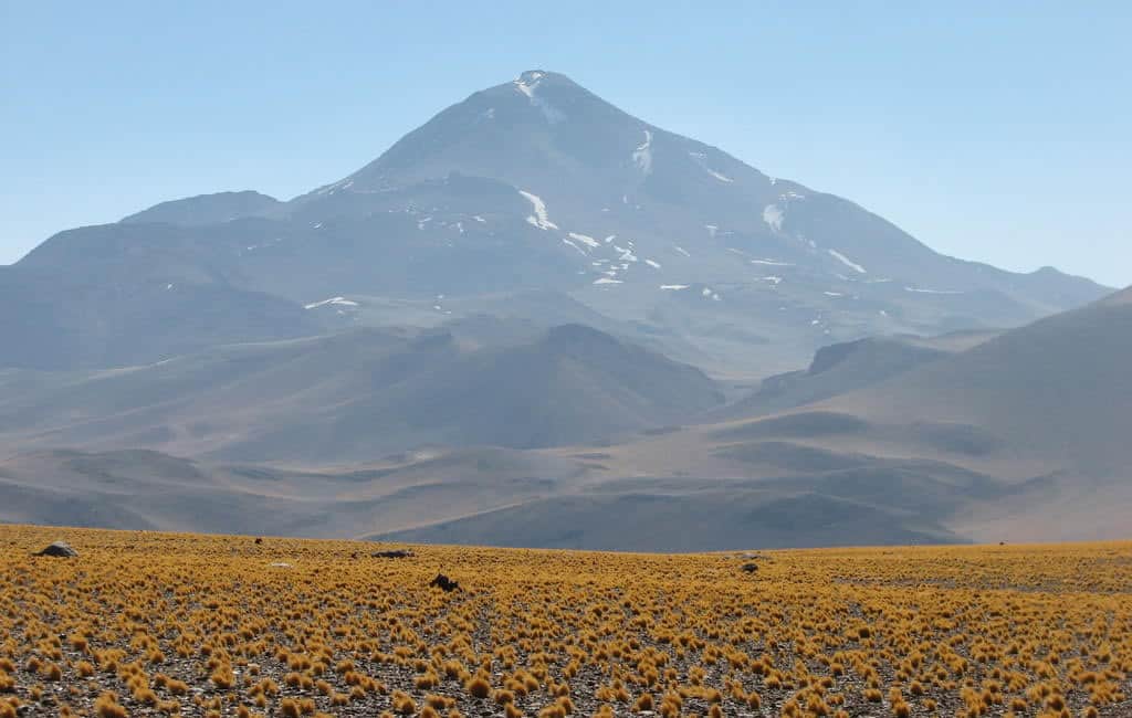 Ascent to 6732-meter Llullaillaco Volcano. 12-day trip. AAGM leader