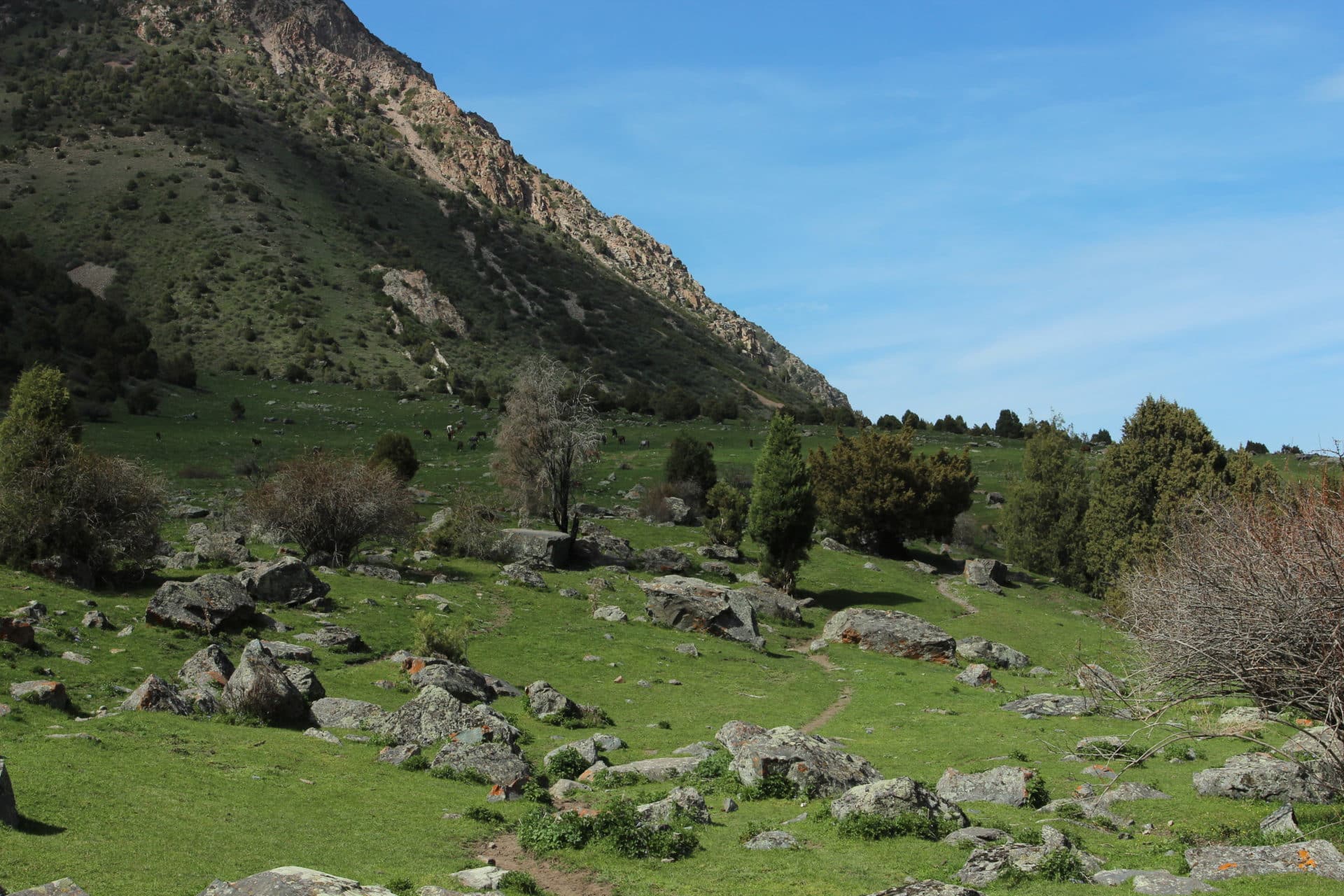 Alamedin Gorge one-day trekking. 1-day trip. KMGA leader