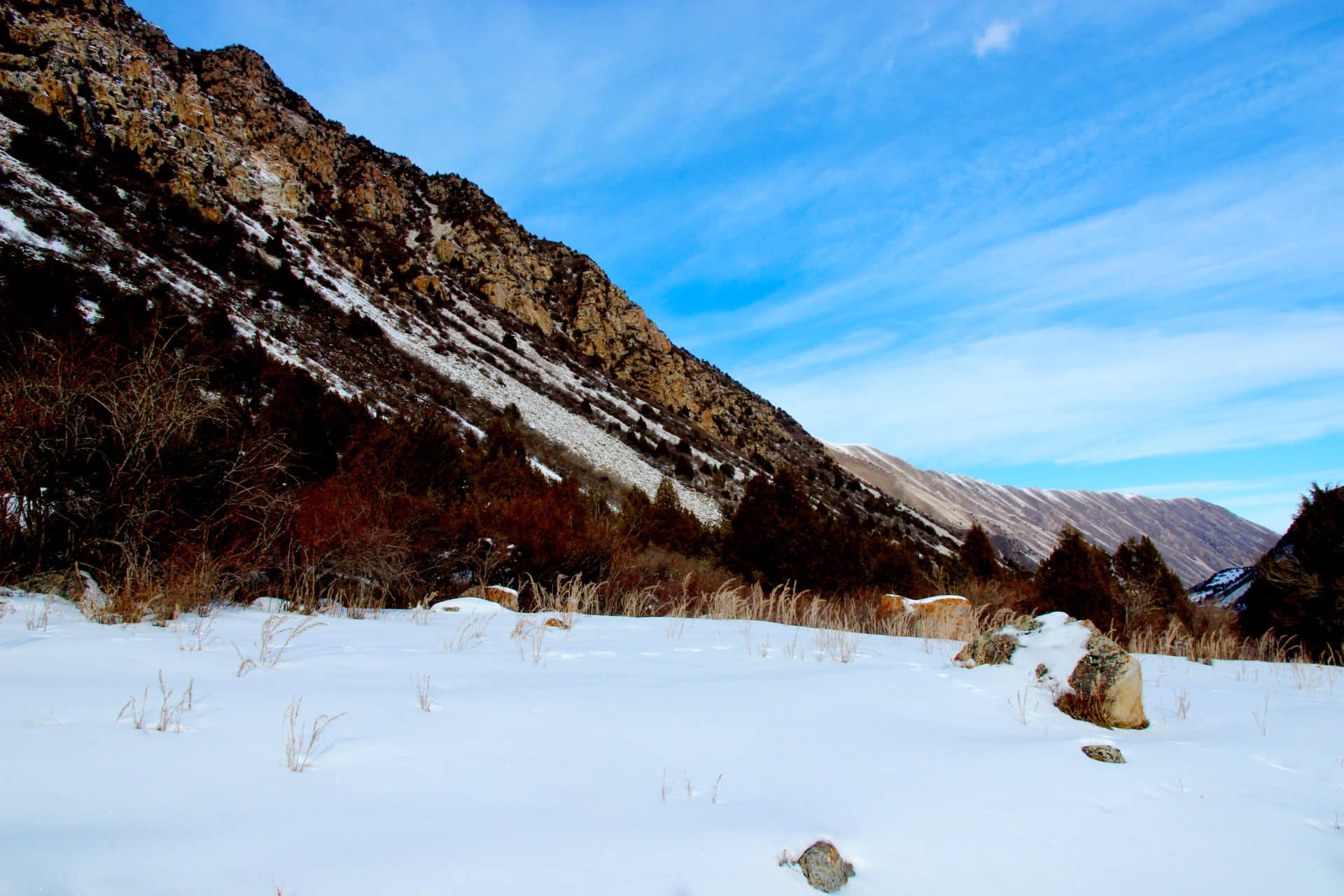 Alamedin Gorge one-day trekking. 1-day trip. KMGA leader