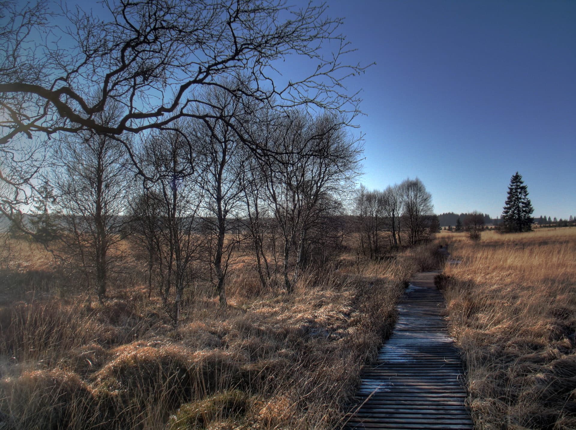 Les Hautes Fagnes, Malmedy, Guided Weekend Hike. 2-day trip. Certified ...