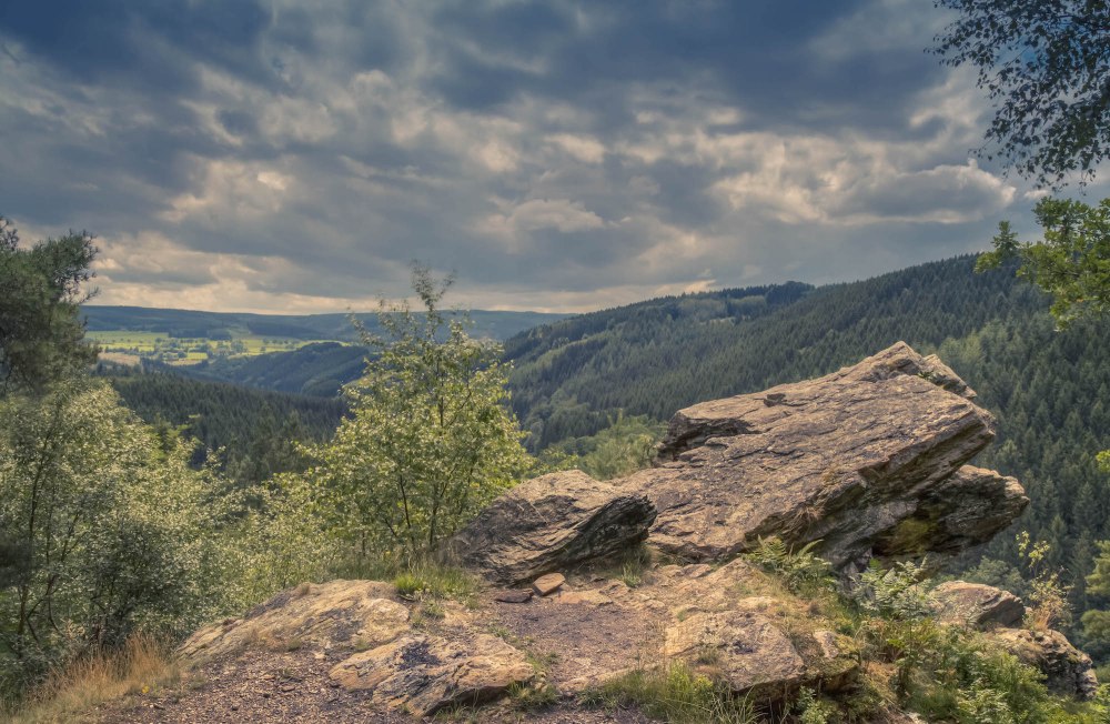 Les Hautes Fagnes Guided Trail Running weekend. 2-day trip. Certified ...
