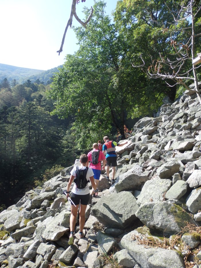 Les Vosges mountains, Guided Trail Running. 2-day trip. Certified leader