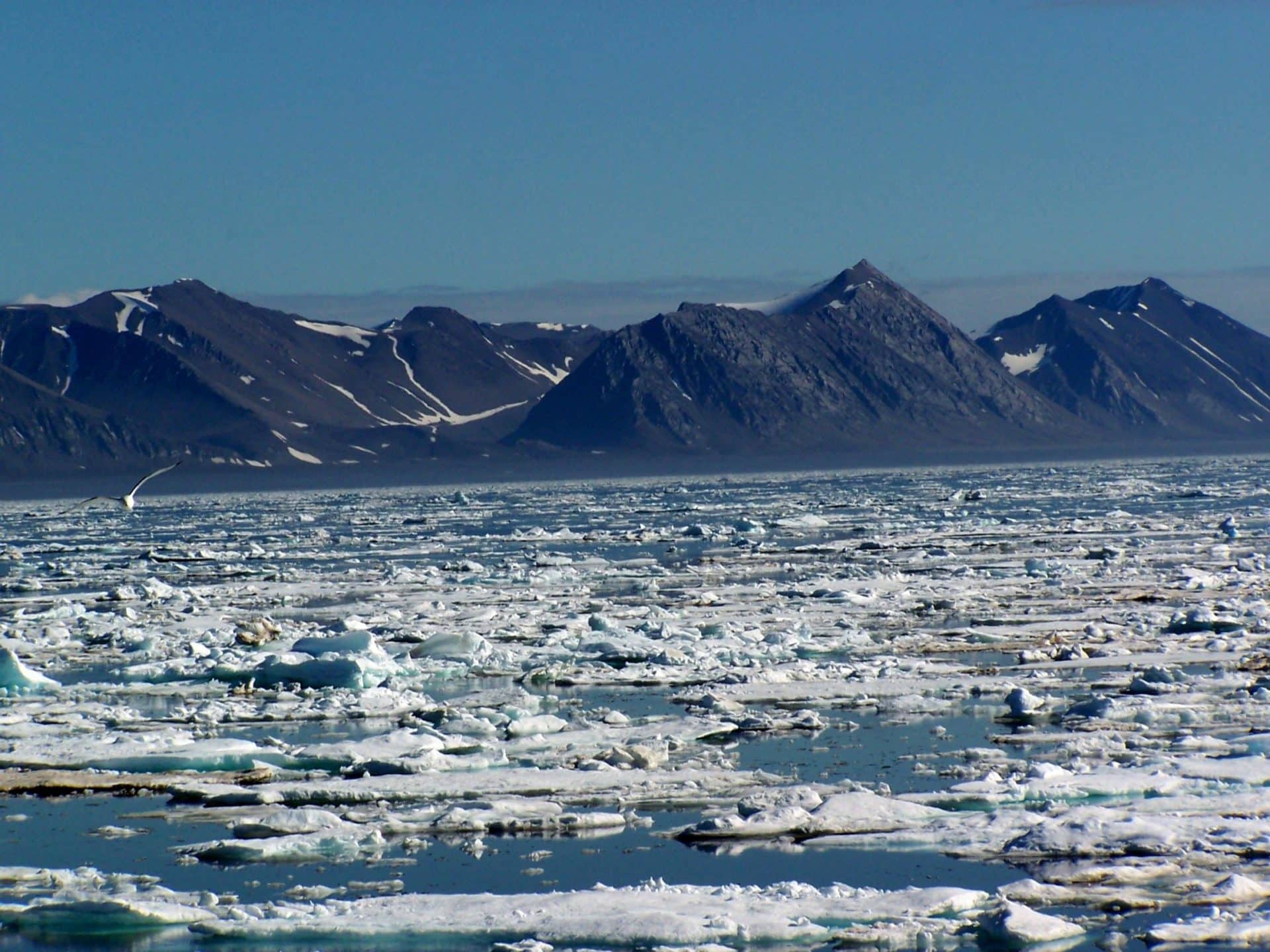 9-day Spitsbergen ski tour from a boat, Norway. 9-day trip. Certified guide