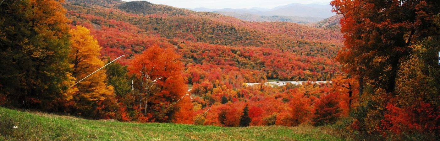 Full-day hike in the Green Mountains, Vermont. 1-day trip. Certified guide